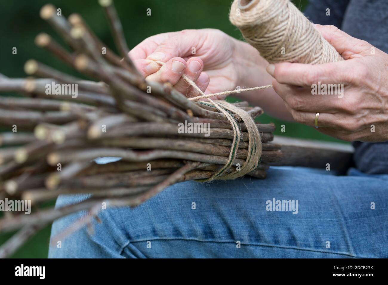 woman making a wild bee nesting aid with pithy stems, Germany Stock ...