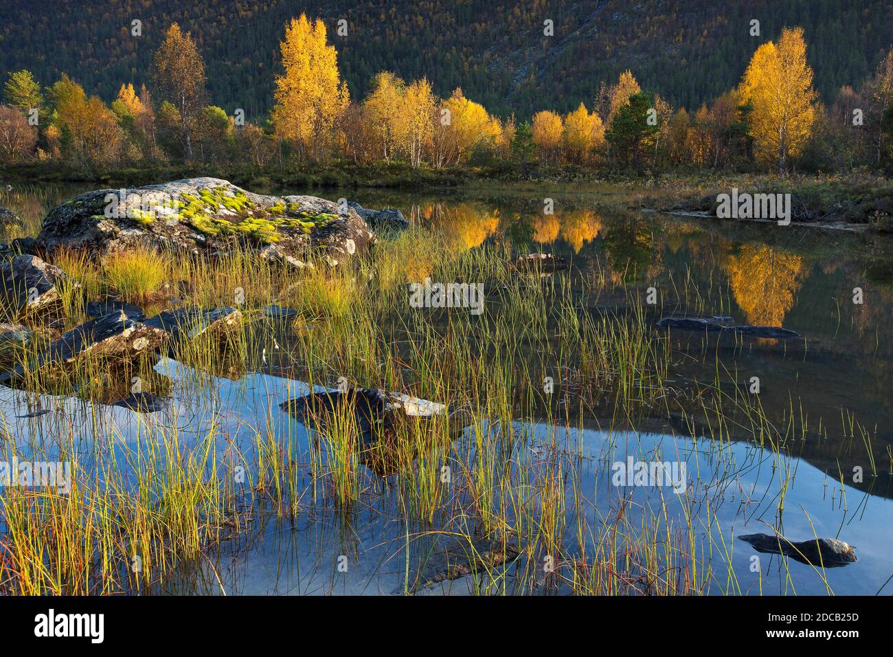 landscape Ottadalen, Norway, Opdall Stock Photo - Alamy