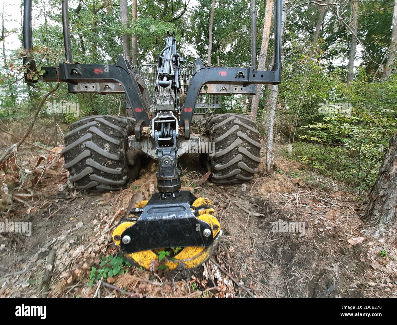 Forestry forwarder hi-res stock photography and images - Alamy