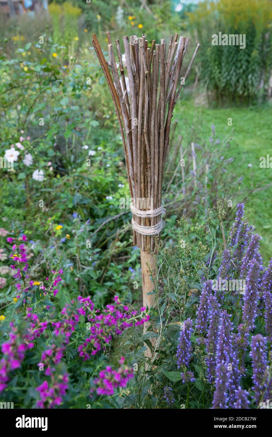 homemade wild bee nesting aid from pithy stems, Germany Stock Photo - Alamy