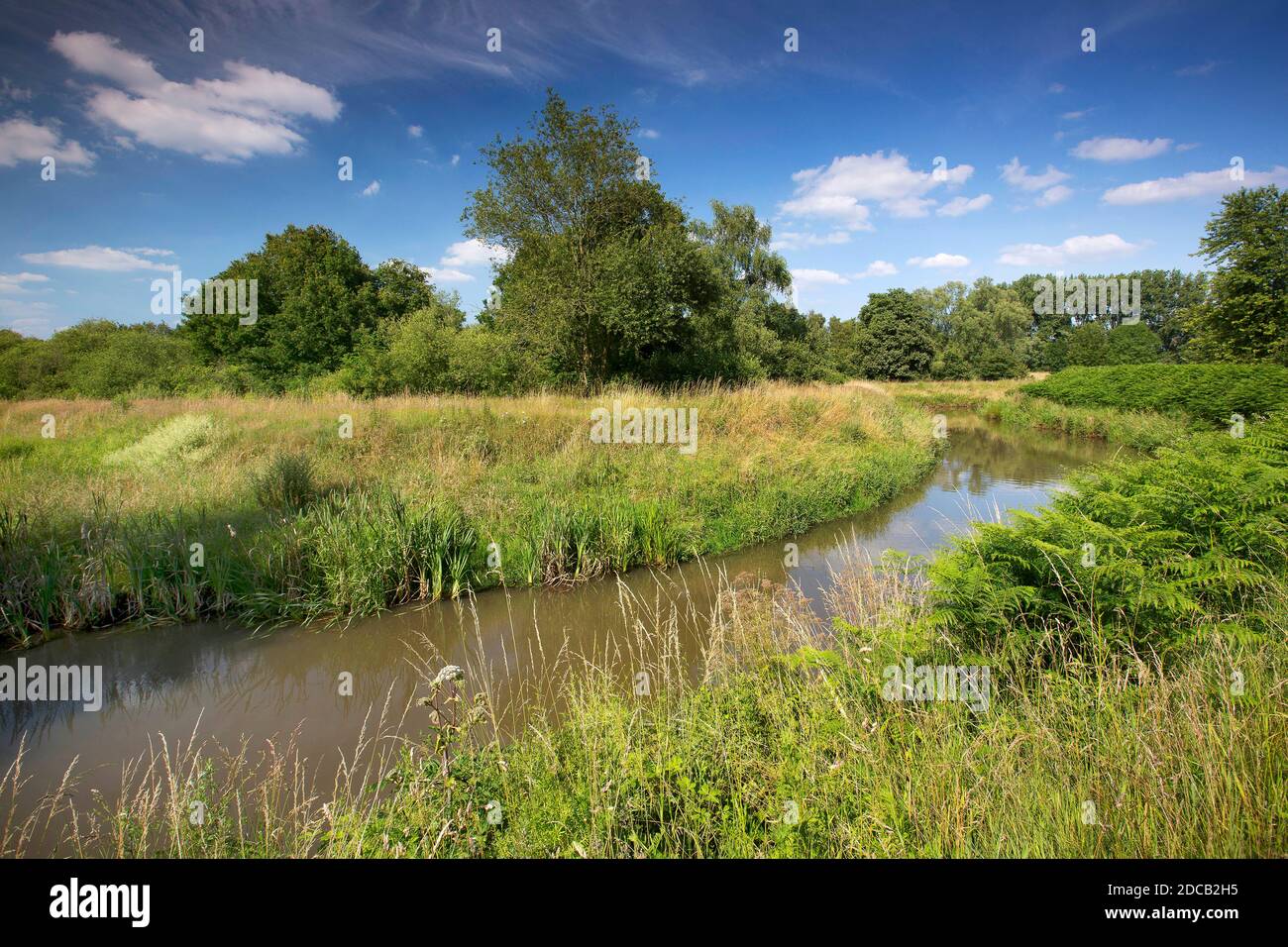 valley of Grote Nete, Belgium, Netevallei Stock Photo - Alamy