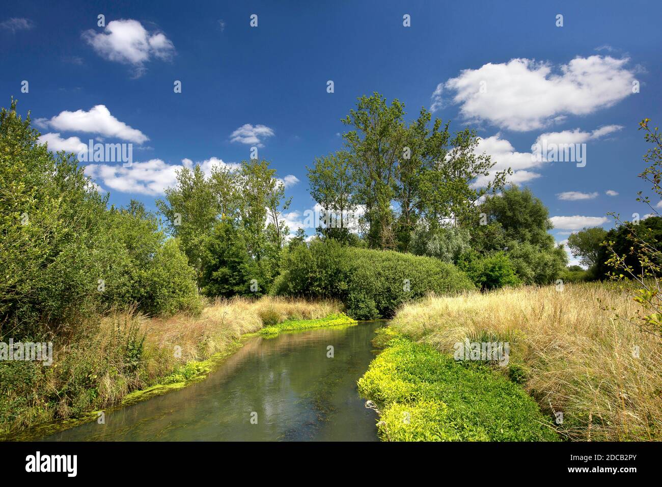 valley of Grote Nete, Belgium, Netevallei Stock Photo - Alamy