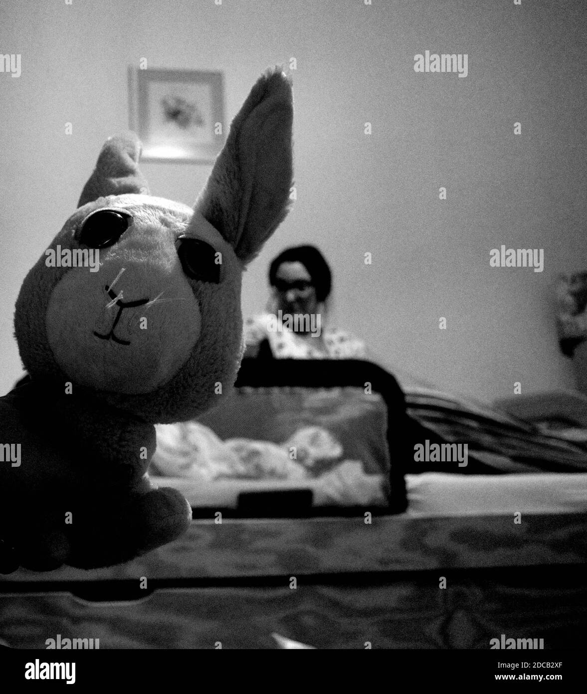 Cuddly Bunny High Resolution Stock Photography and Images - Alamy