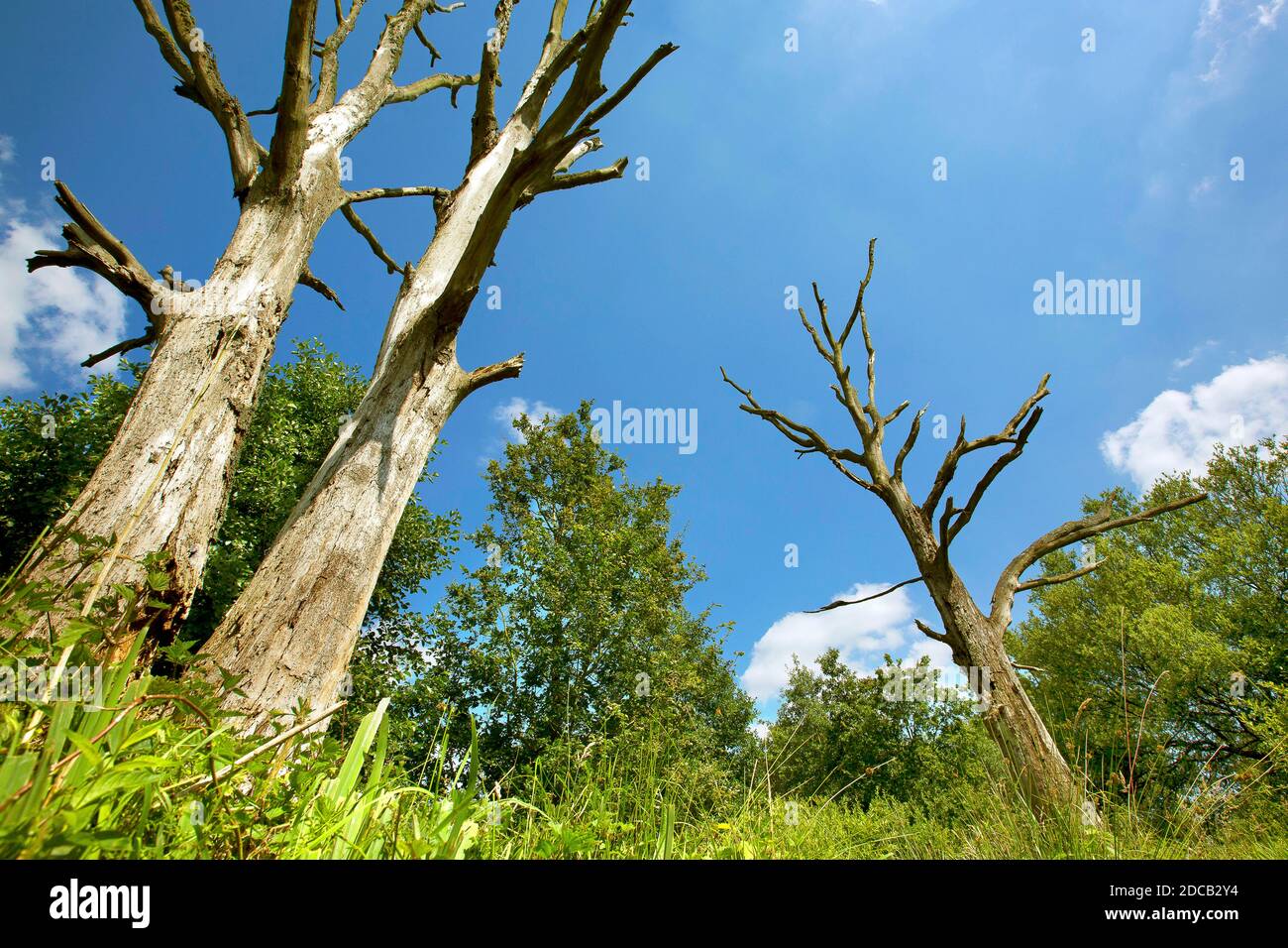 Valley of the nete hi-res stock photography and images - Alamy