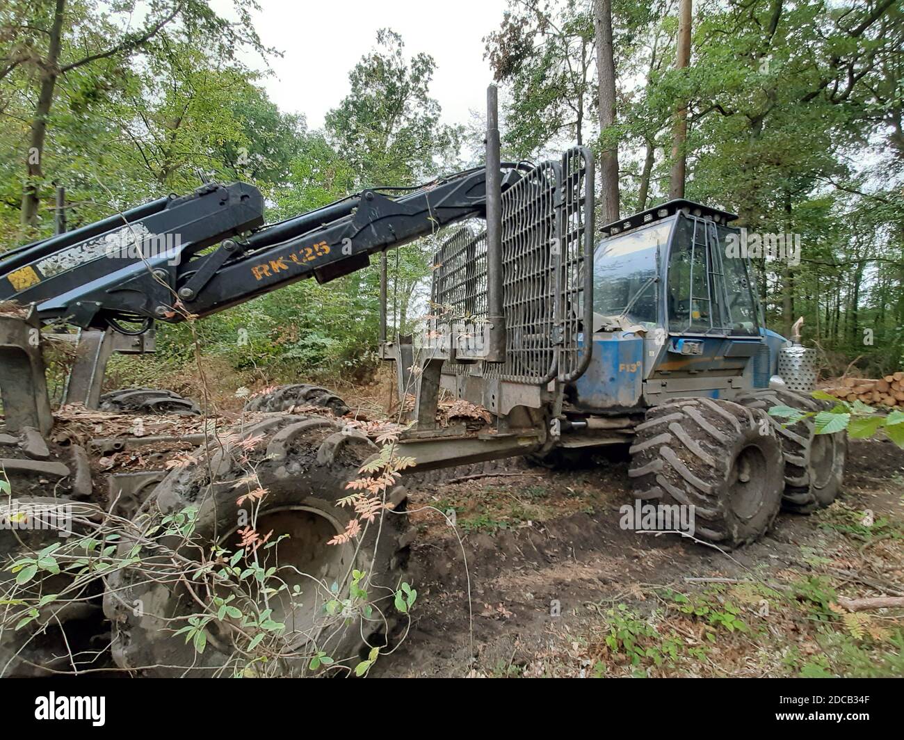 Forwarder vehicle hi-res stock photography and images - Alamy