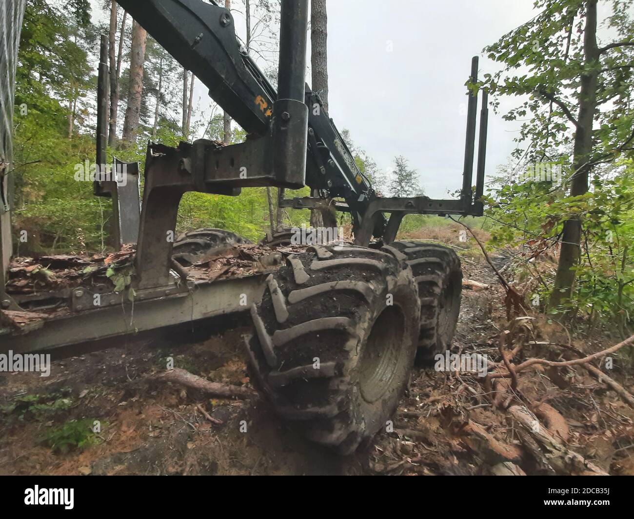 Forwarder vehicle hi-res stock photography and images - Alamy