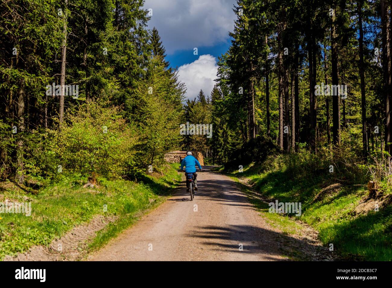 Hiking in different places through the Thuringian Forest - Thüringer ...