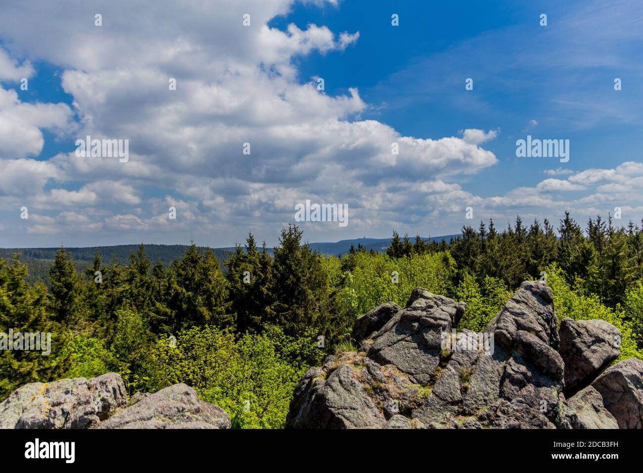 Hiking in different places through the Thuringian Forest - Thüringer ...