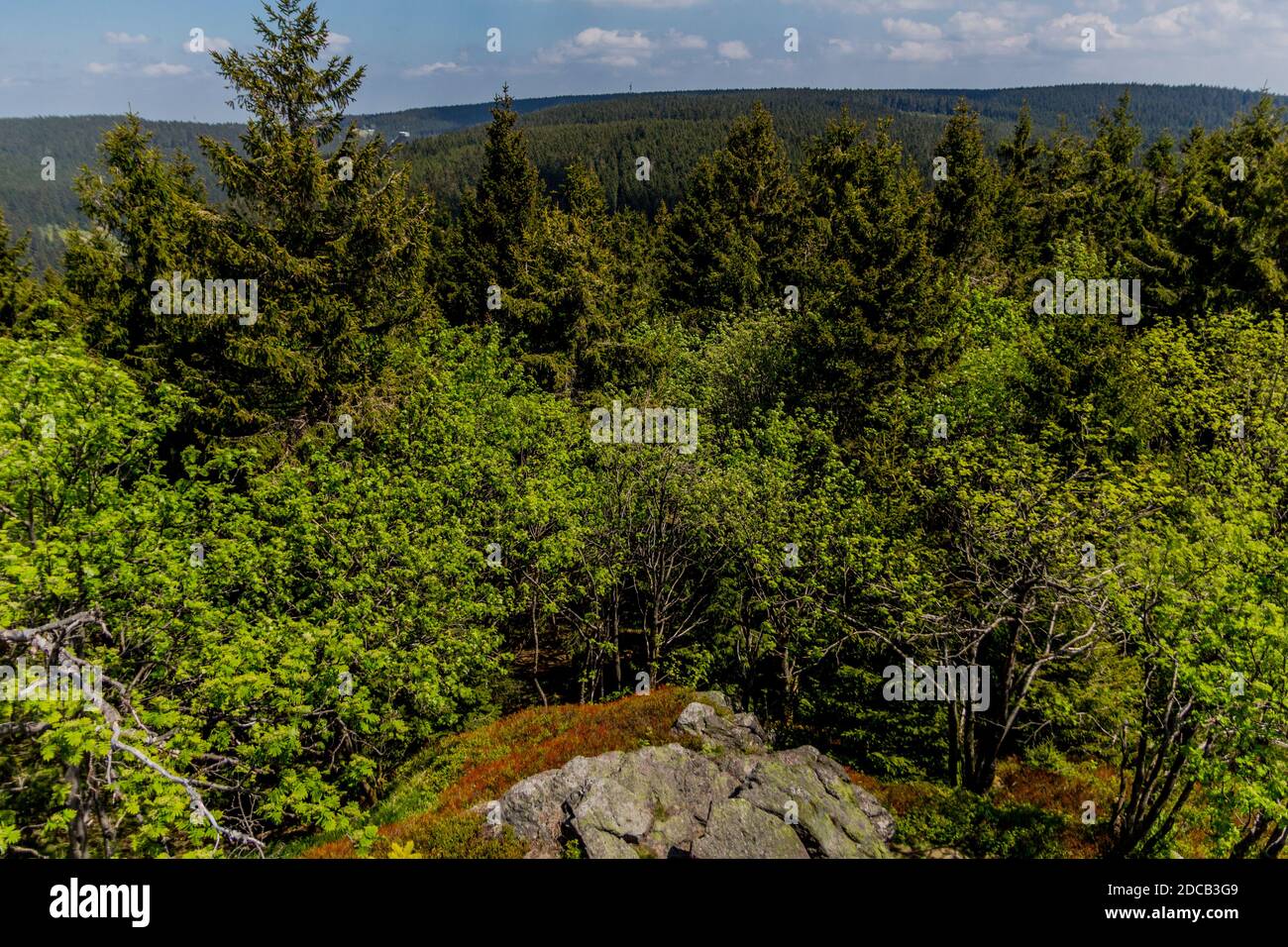 Hiking in different places through the Thuringian Forest - Thüringer ...