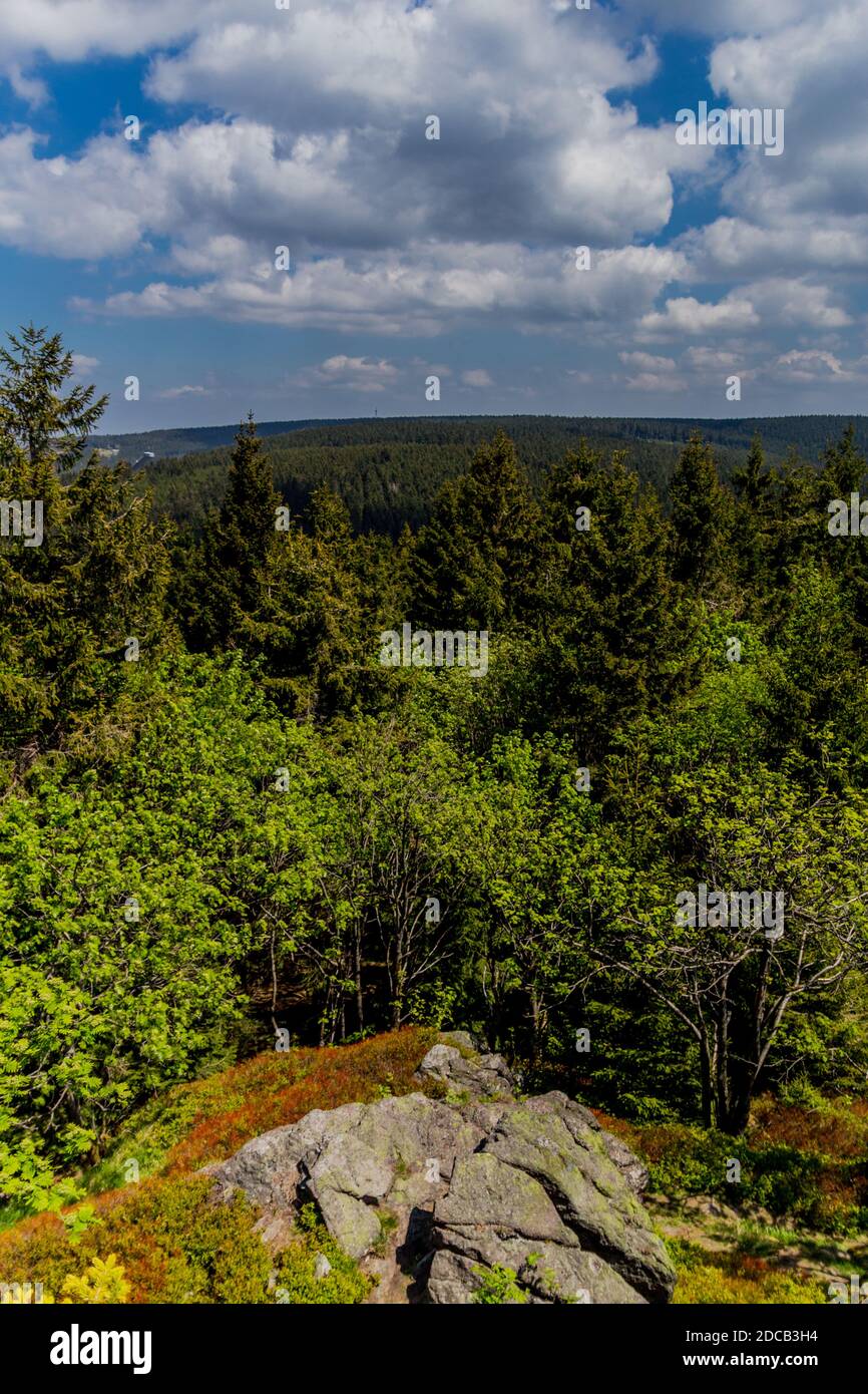 Hiking in different places through the Thuringian Forest - Thüringer ...