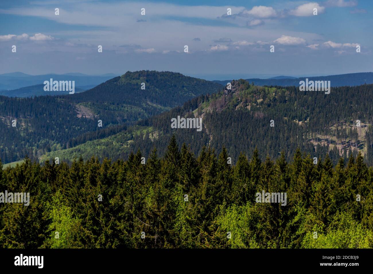 Hiking in different places through the Thuringian Forest - Thüringer ...