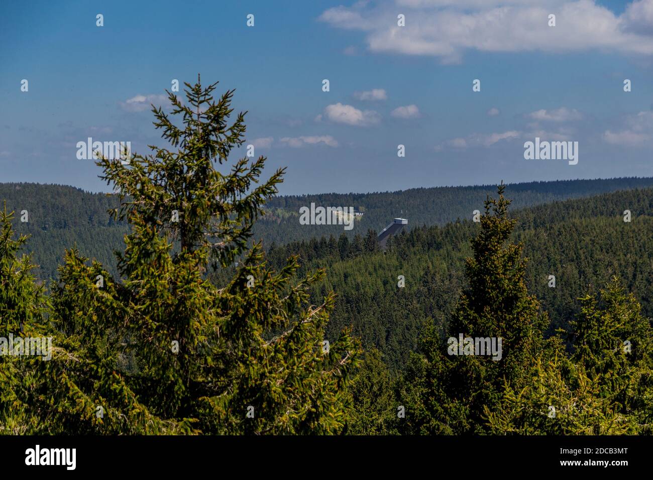 Hiking in different places through the Thuringian Forest - Thüringer ...