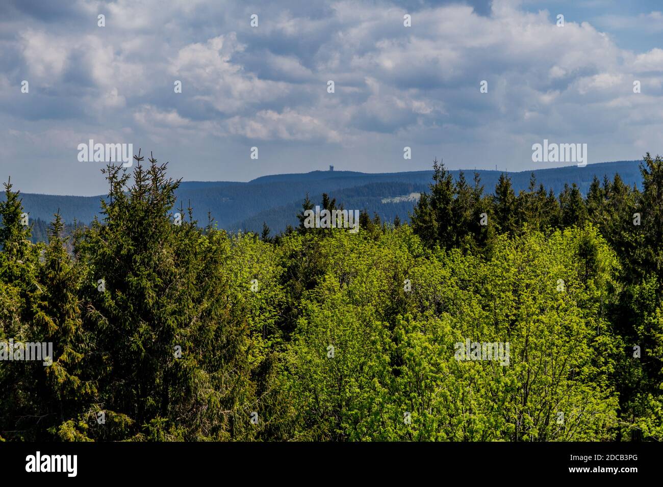 Hiking in different places through the Thuringian Forest - Thüringer ...