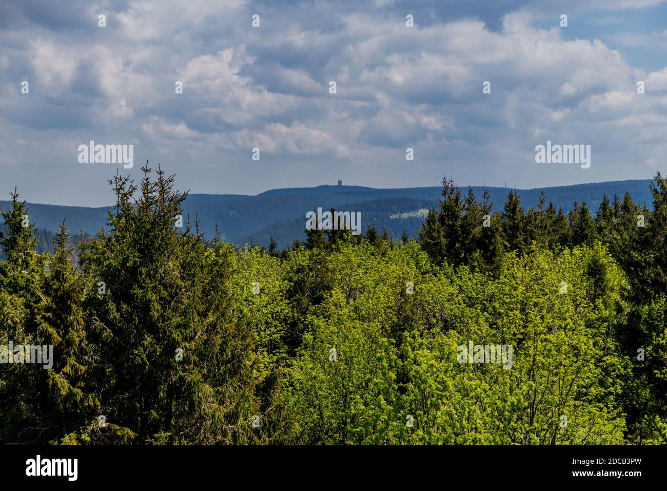 Hiking in different places through the Thuringian Forest - Thüringer ...