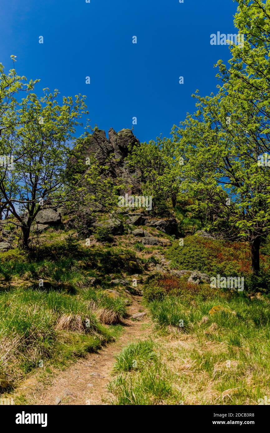 Hiking in different places through the Thuringian Forest - Thüringer ...