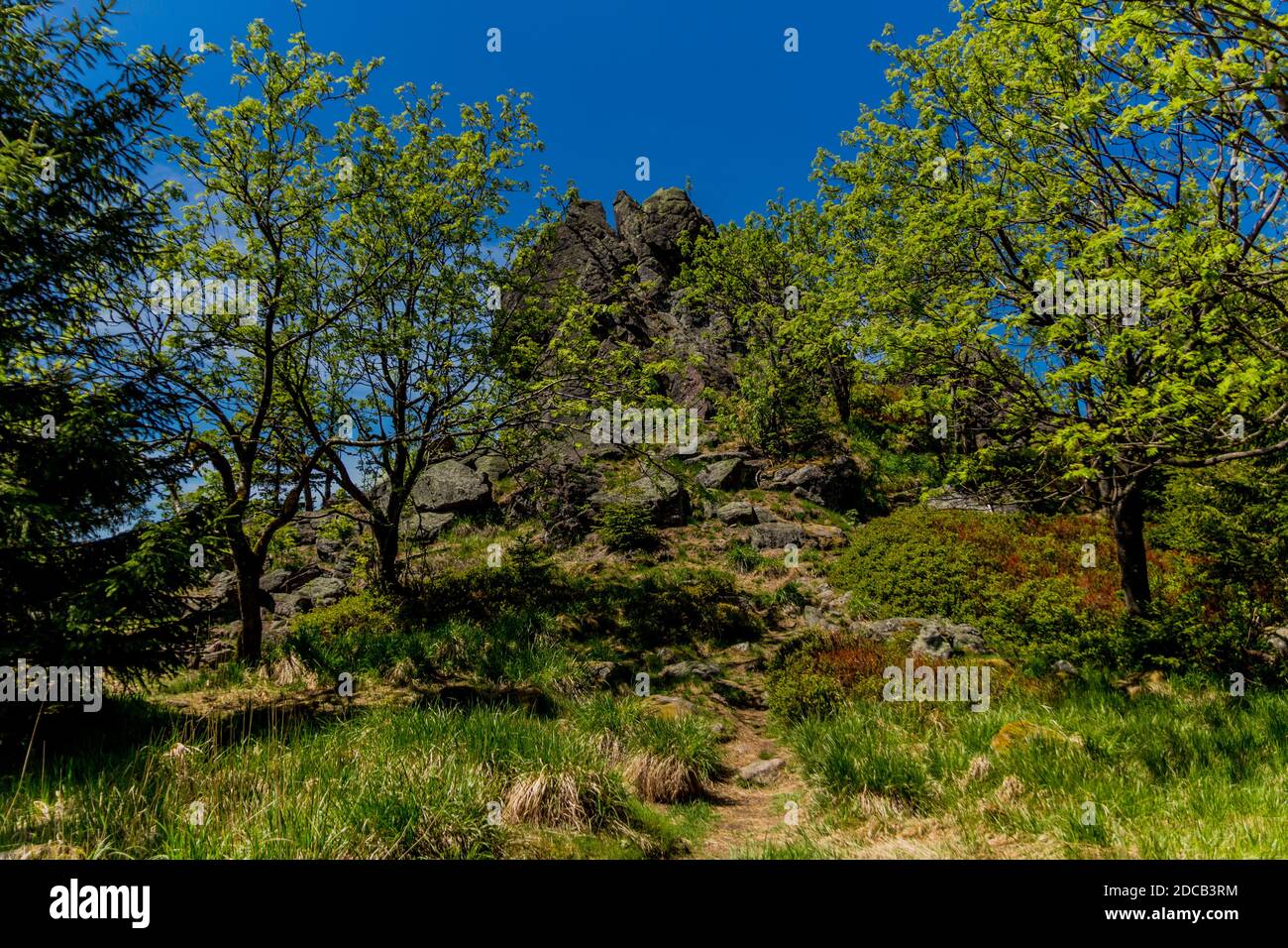 Hiking in different places through the Thuringian Forest - Thüringer ...