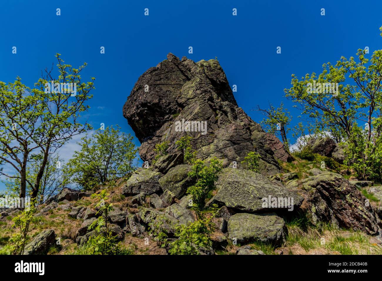 Hiking in different places through the Thuringian Forest - Thüringer ...