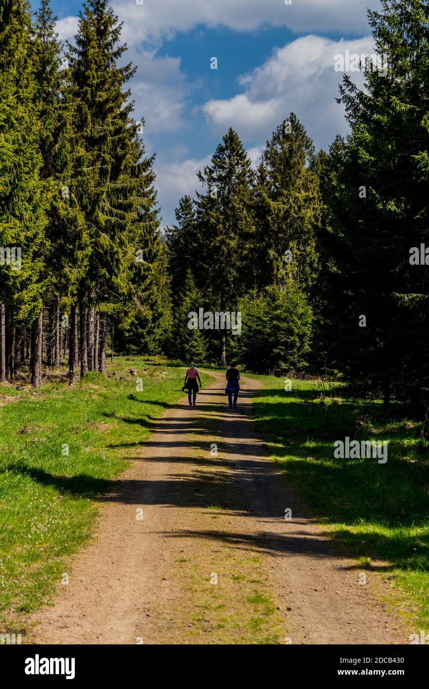 Hiking in different places through the Thuringian Forest - Thüringer ...