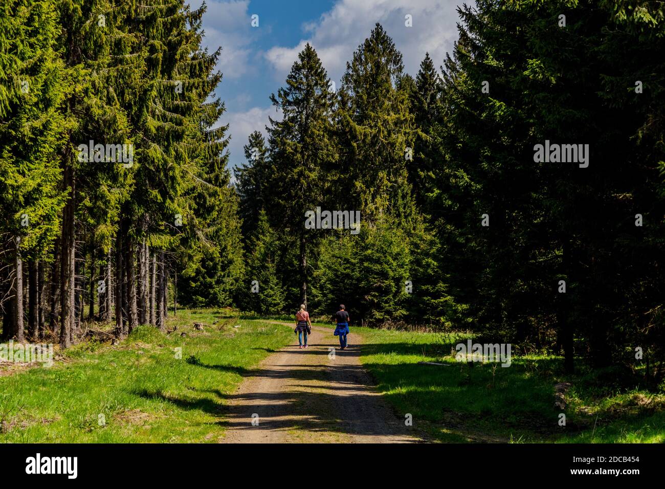 Hiking in different places through the Thuringian Forest - Thüringer ...