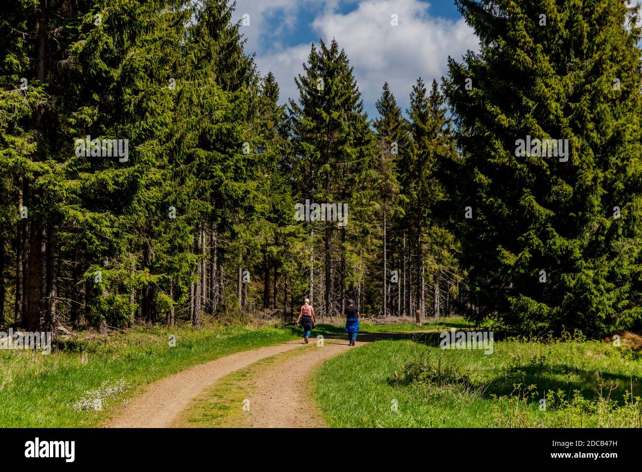 Hiking in different places through the Thuringian Forest - Thüringer ...