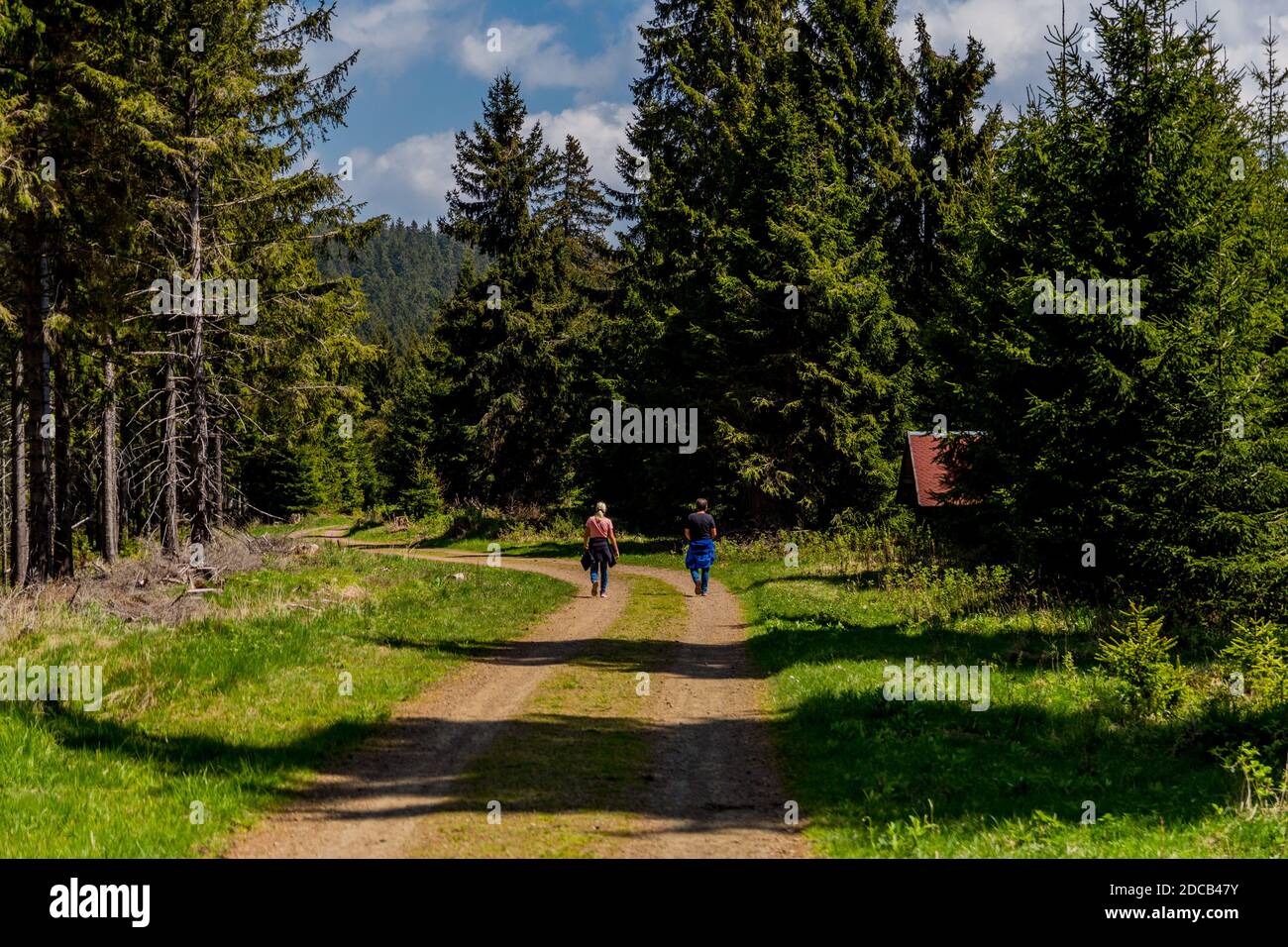 Hiking in different places through the Thuringian Forest - Thüringer ...