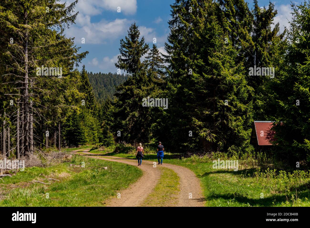 Hiking in different places through the Thuringian Forest - Thüringer ...
