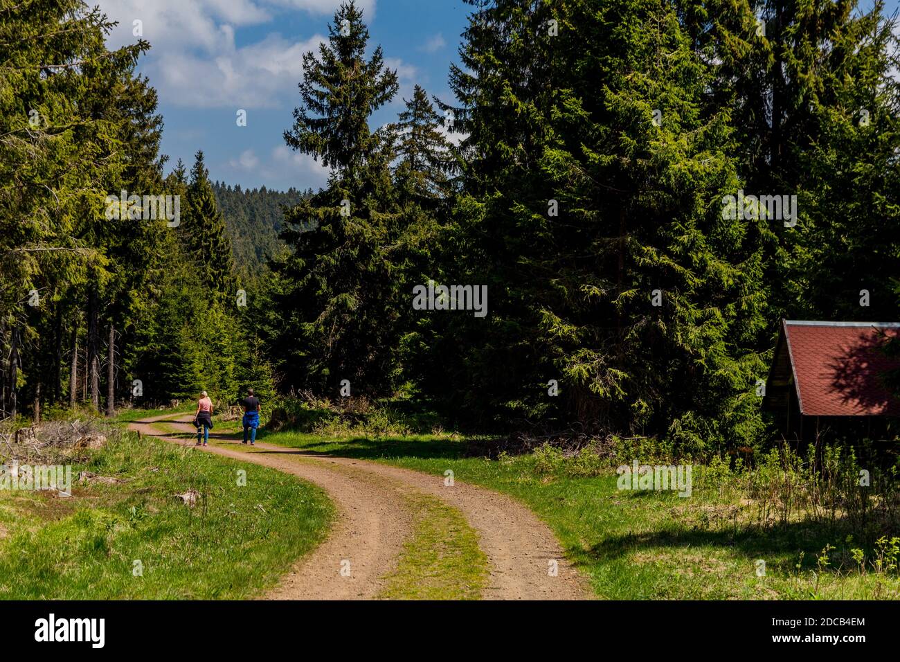 Hiking in different places through the Thuringian Forest - Thüringer ...