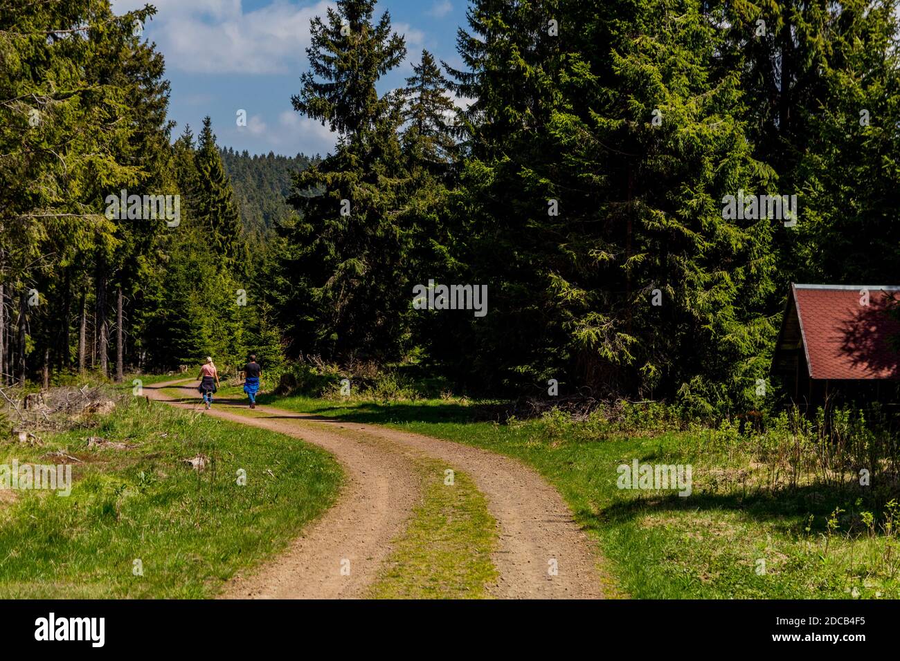 Hiking in different places through the Thuringian Forest - Thüringer ...