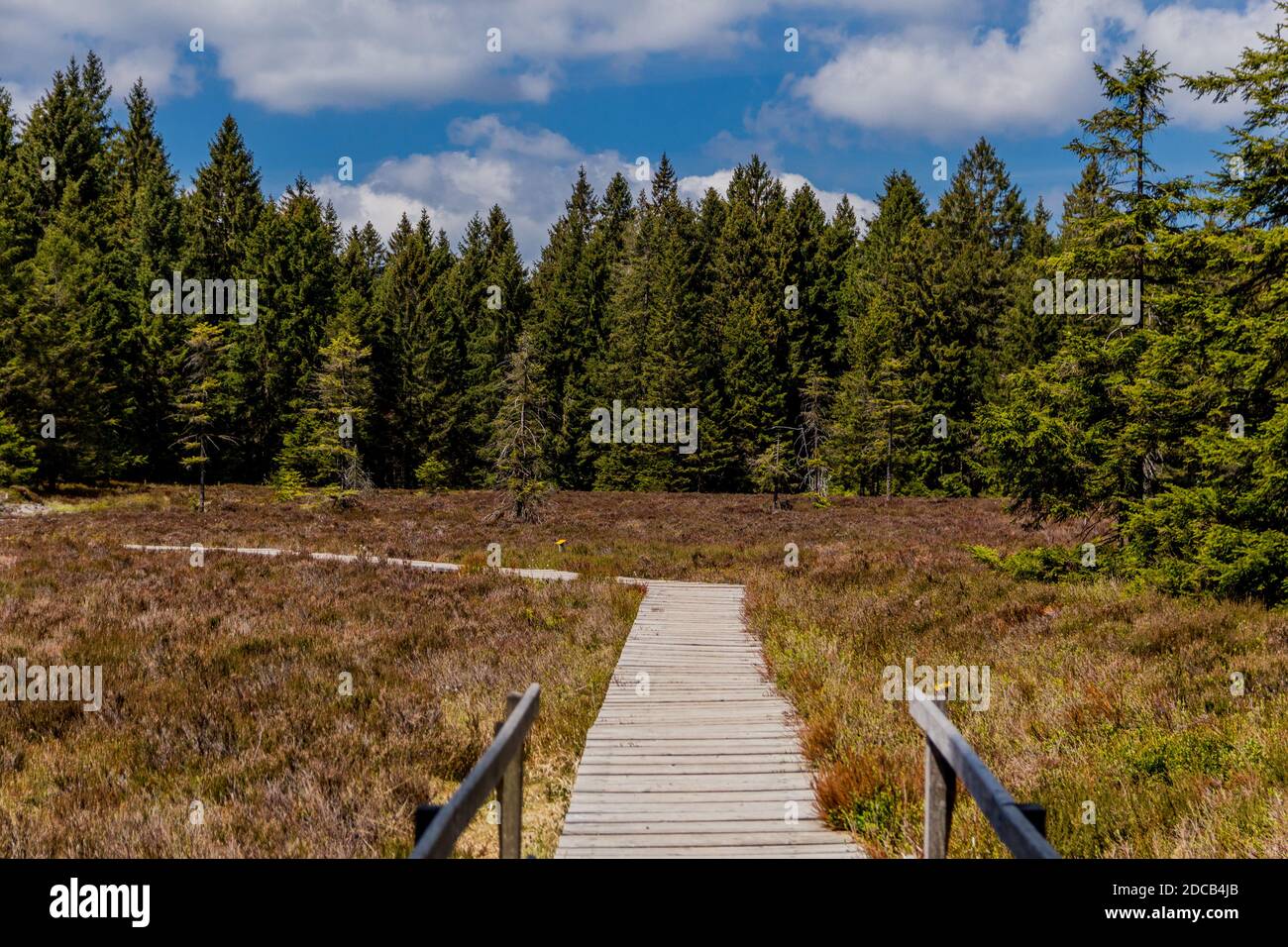 Hiking in different places through the Thuringian Forest - Thüringer ...