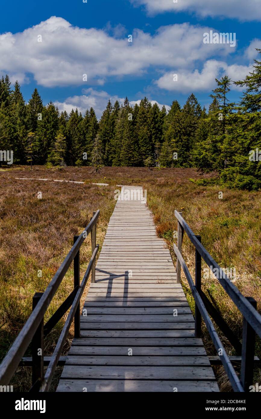 Hiking in different places through the Thuringian Forest - Thüringer ...