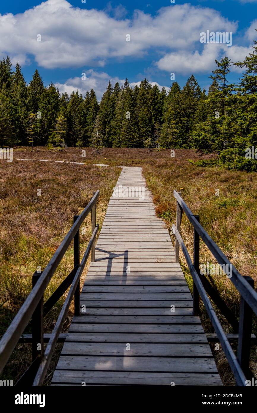 Hiking in different places through the Thuringian Forest - Thüringer ...