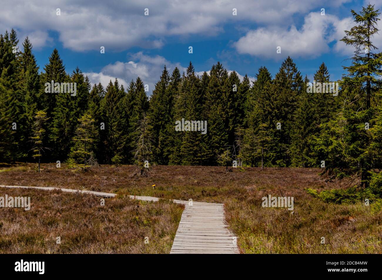 Hiking in different places through the Thuringian Forest - Thüringer ...
