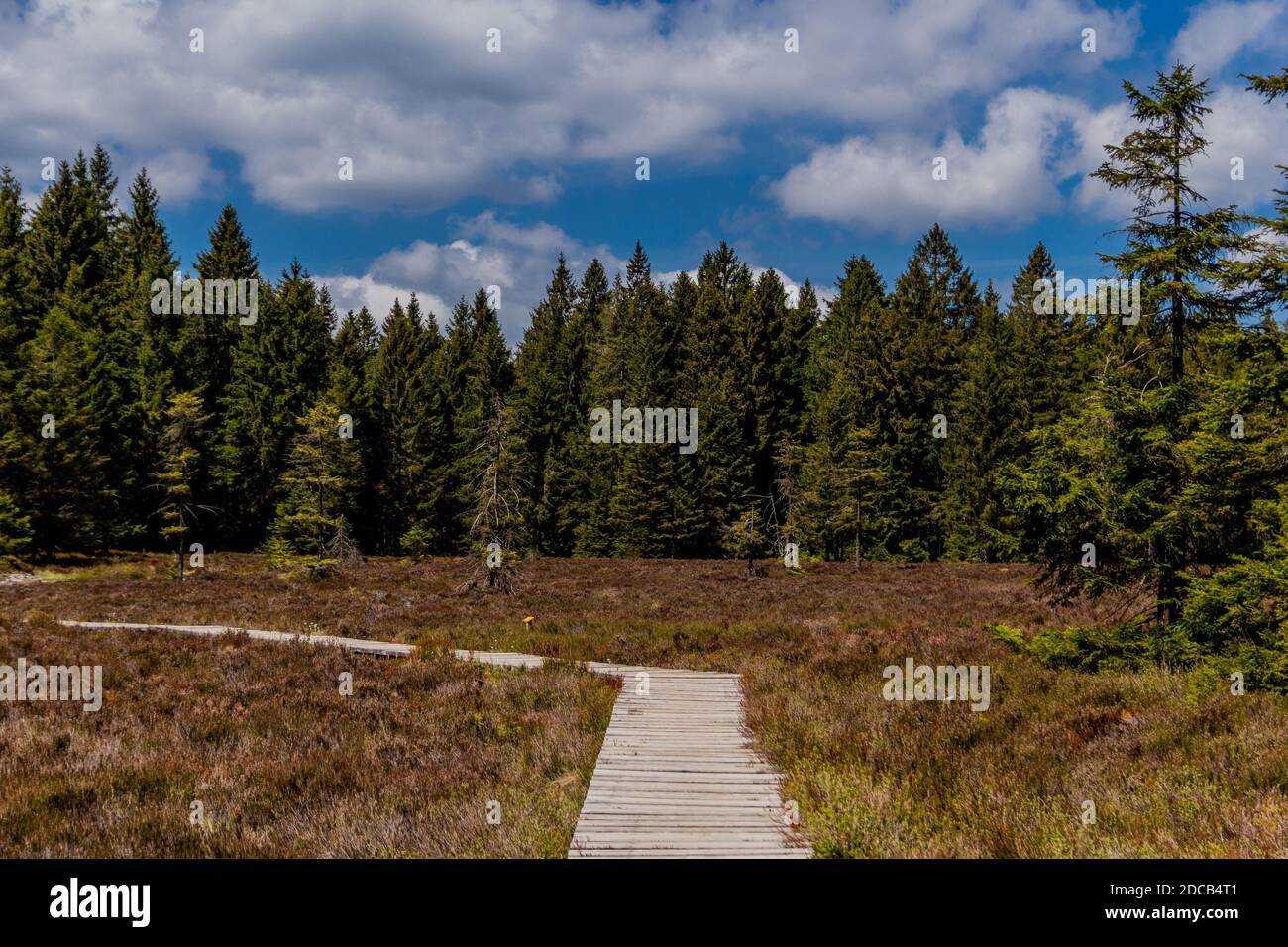 Hiking in different places through the Thuringian Forest - Thüringer ...