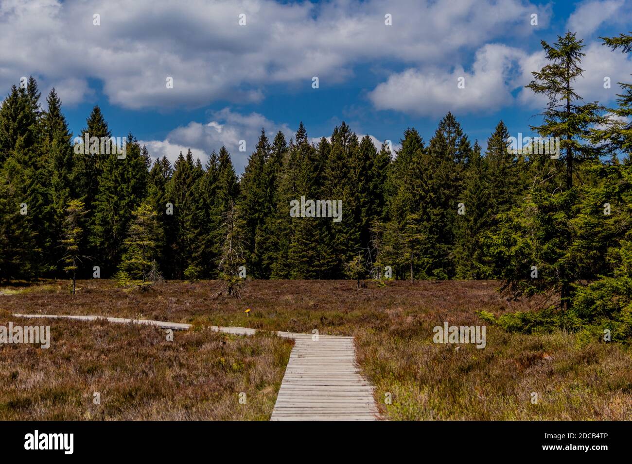 Hiking in different places through the Thuringian Forest - Thüringer ...
