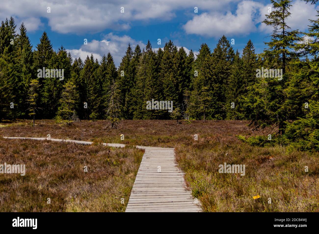 Hiking in different places through the Thuringian Forest - Thüringer ...