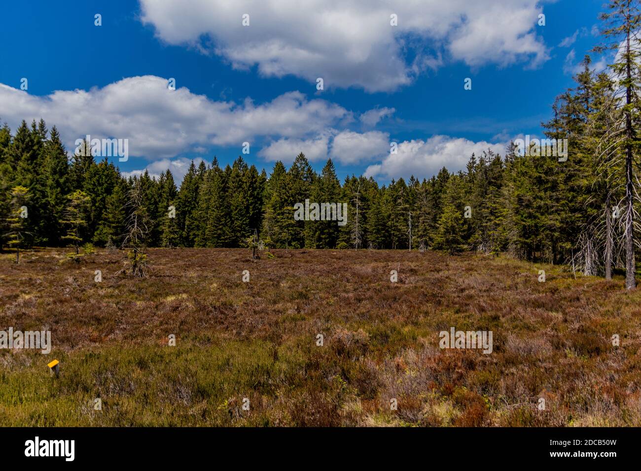 Hiking in different places through the Thuringian Forest - Thüringer ...