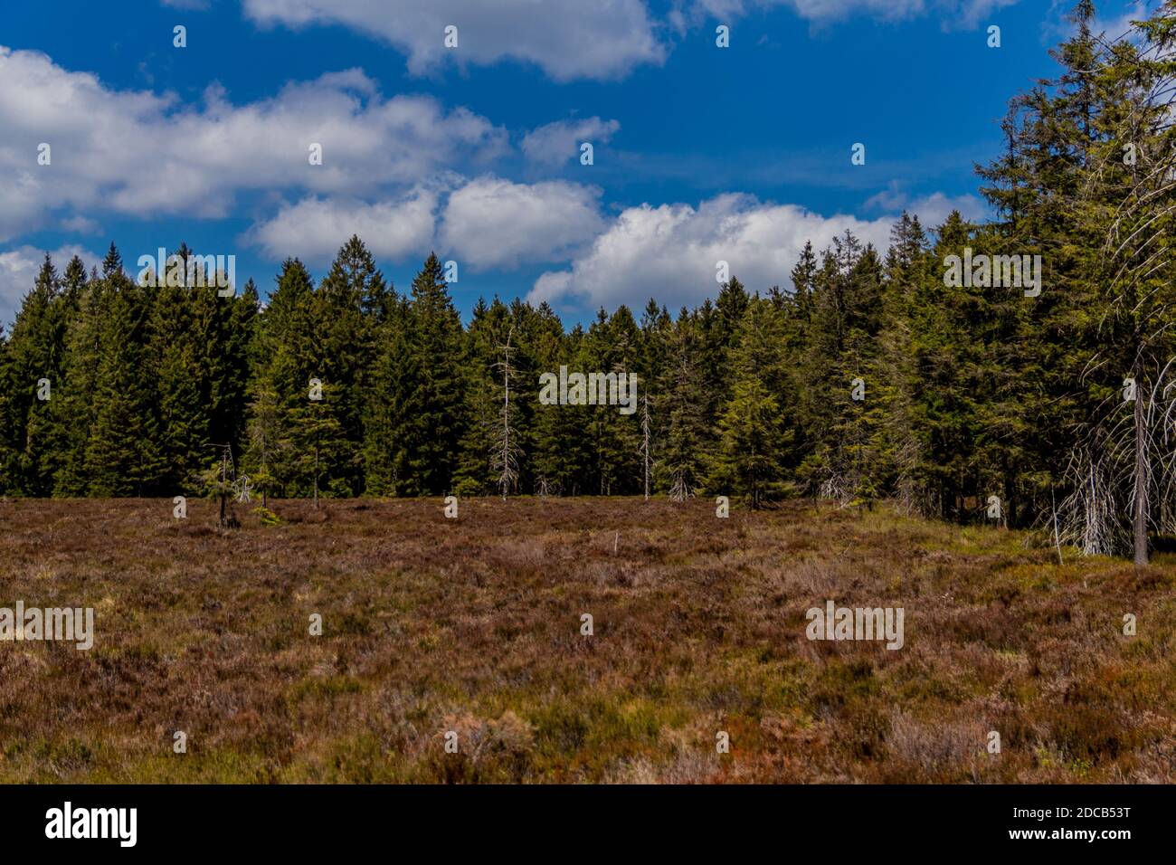 Hiking in different places through the Thuringian Forest - Thüringer ...
