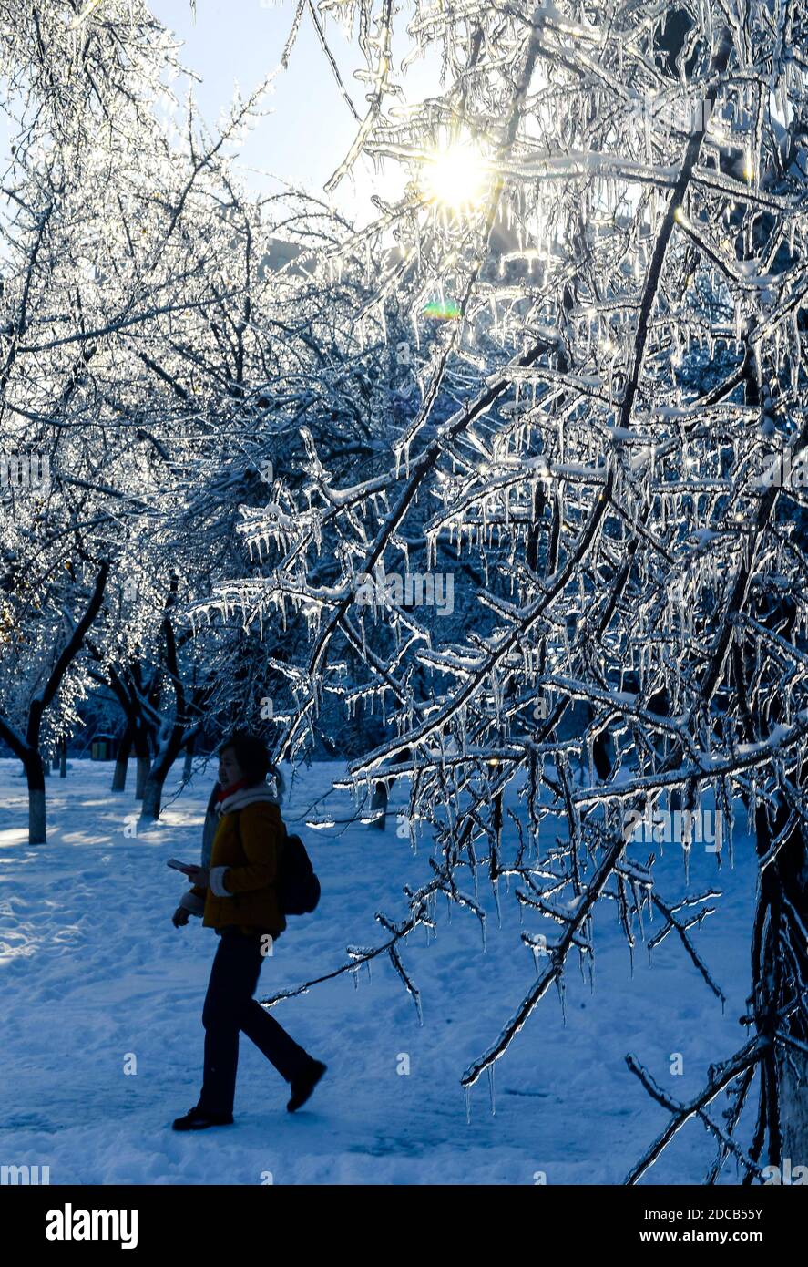 Changchun, China's Jilin Province. 20th Nov, 2020. A pedestrian walks ...