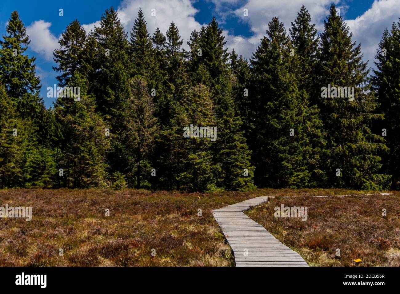 Hiking in different places through the Thuringian Forest - Thüringer ...