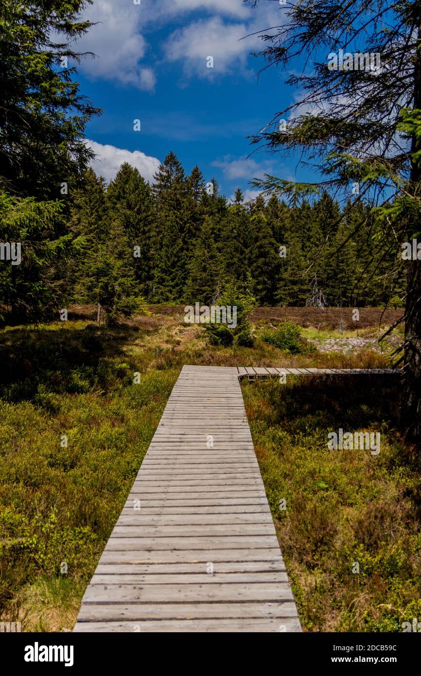 Hiking in different places through the Thuringian Forest - Thüringer ...