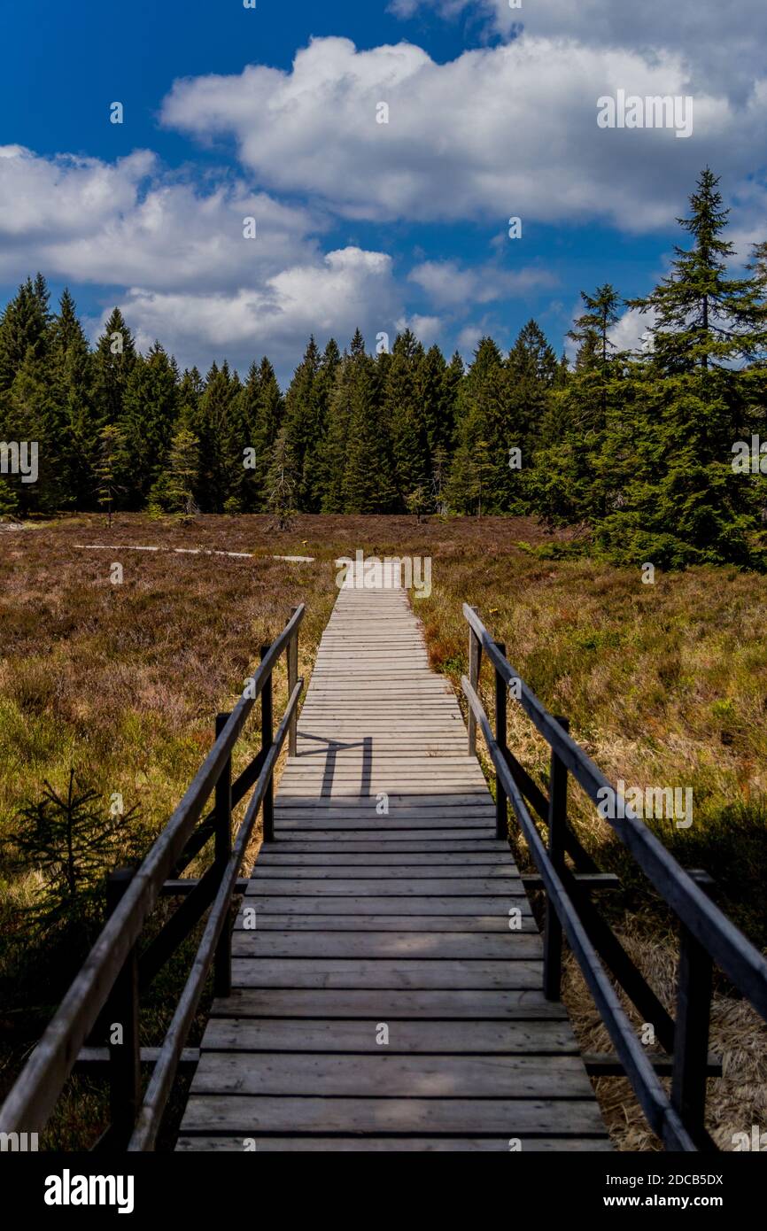 Hiking in different places through the Thuringian Forest - Thüringer ...