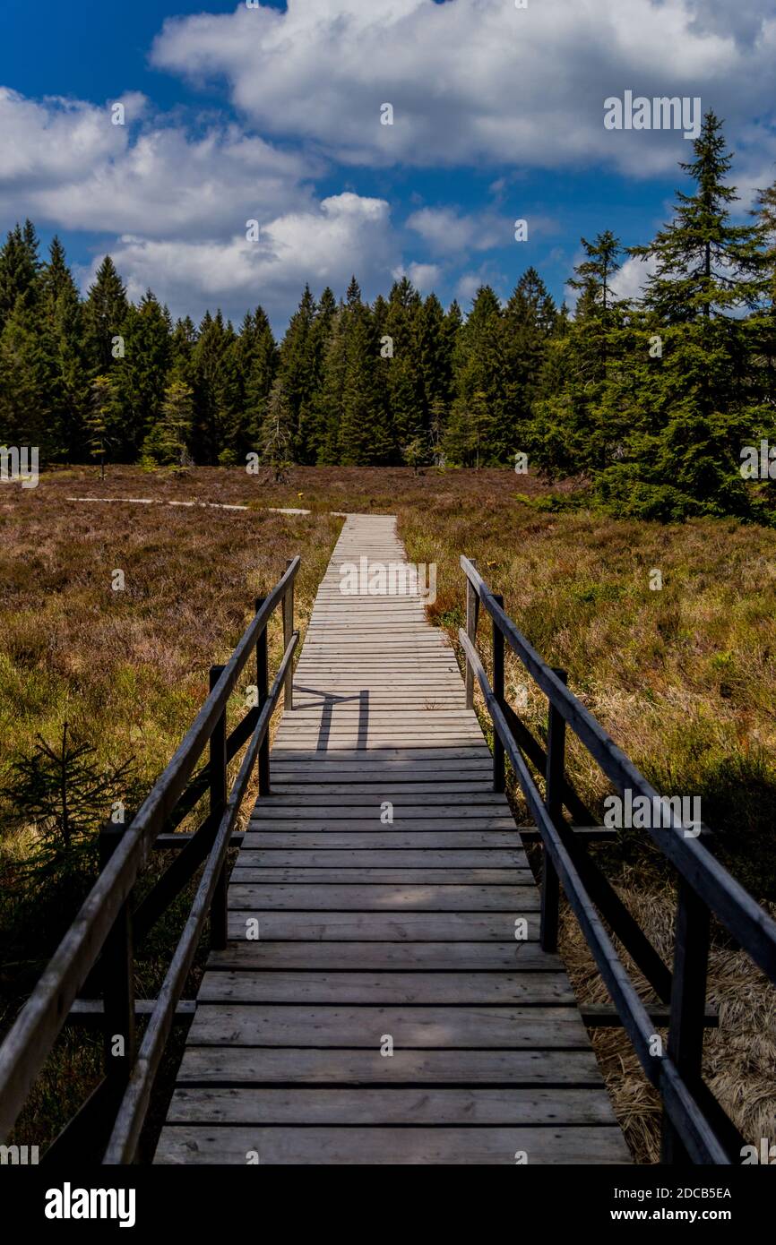 Hiking in different places through the Thuringian Forest - Thüringer ...