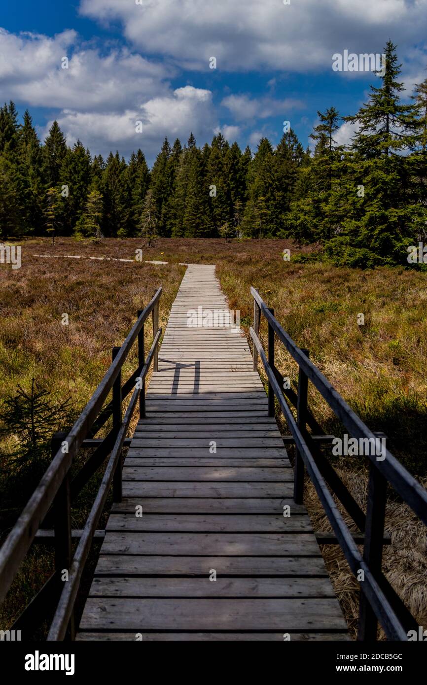 Hiking in different places through the Thuringian Forest - Thüringer ...
