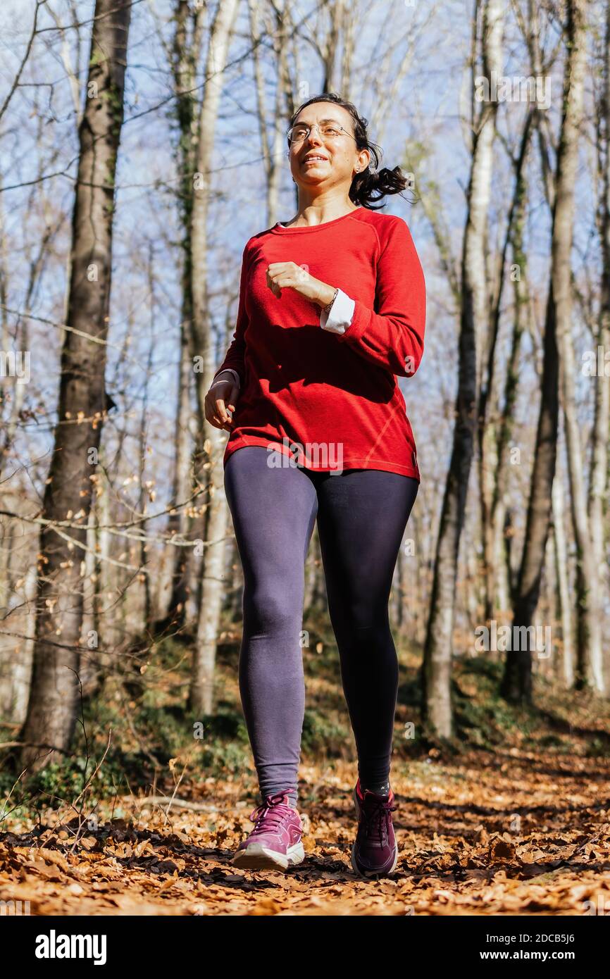 Exploration forest hi-res stock photography and images - Alamy