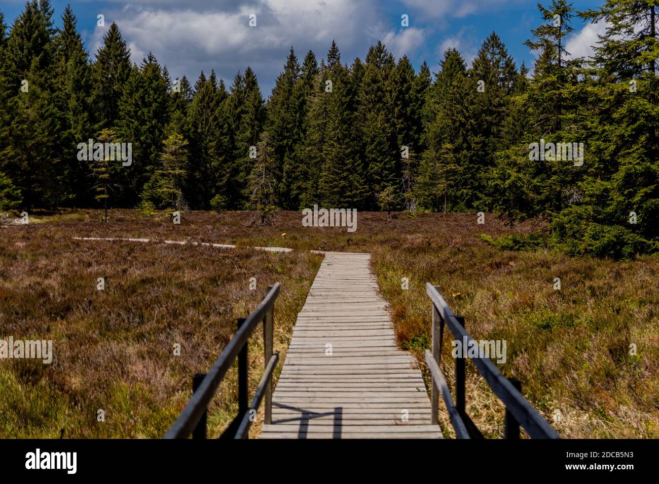 Hiking in different places through the Thuringian Forest - Thüringer ...