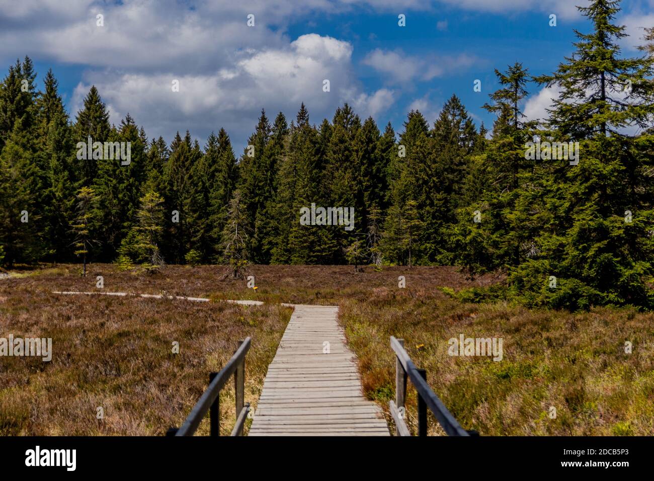 Hiking in different places through the Thuringian Forest - Thüringer ...