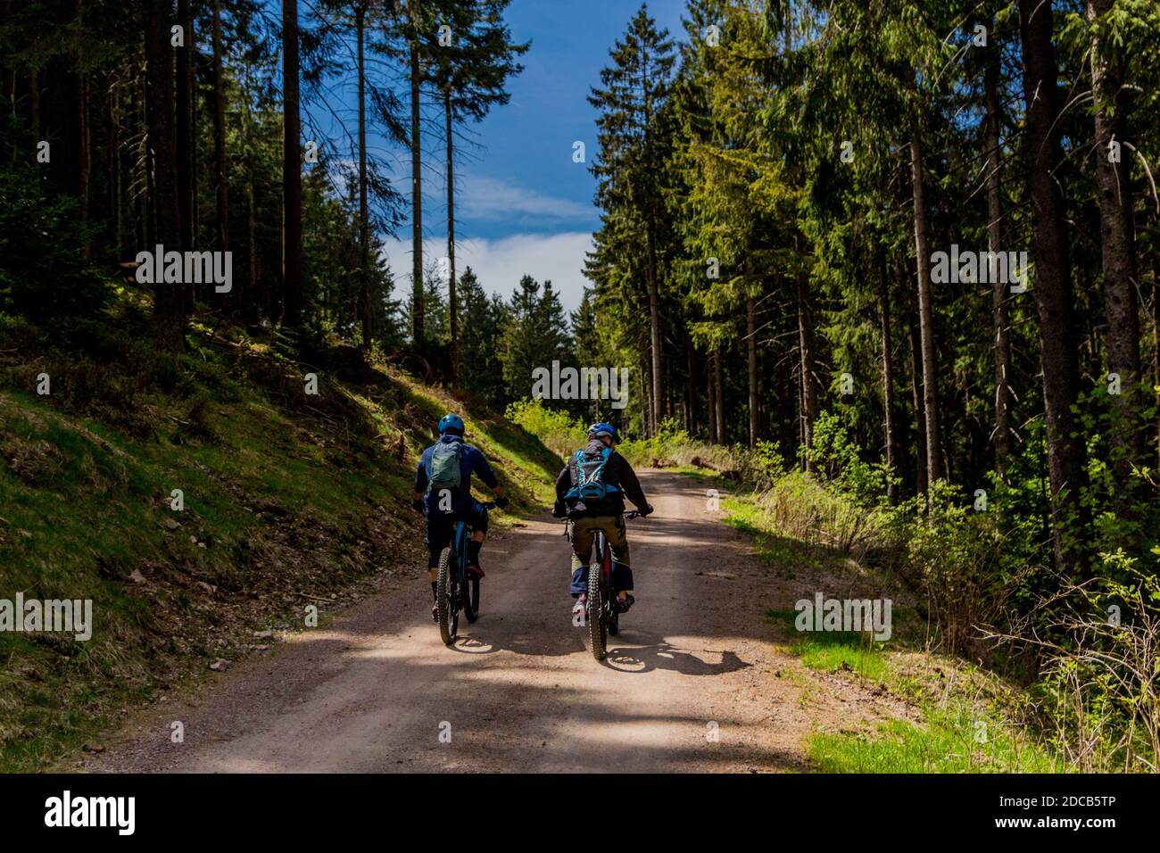 Hiking in different places through the Thuringian Forest - Thüringer ...