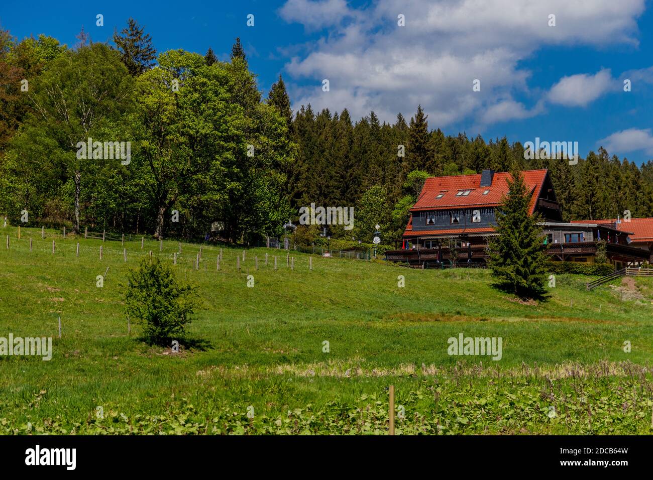 Hiking in different places through the Thuringian Forest - Thüringer ...