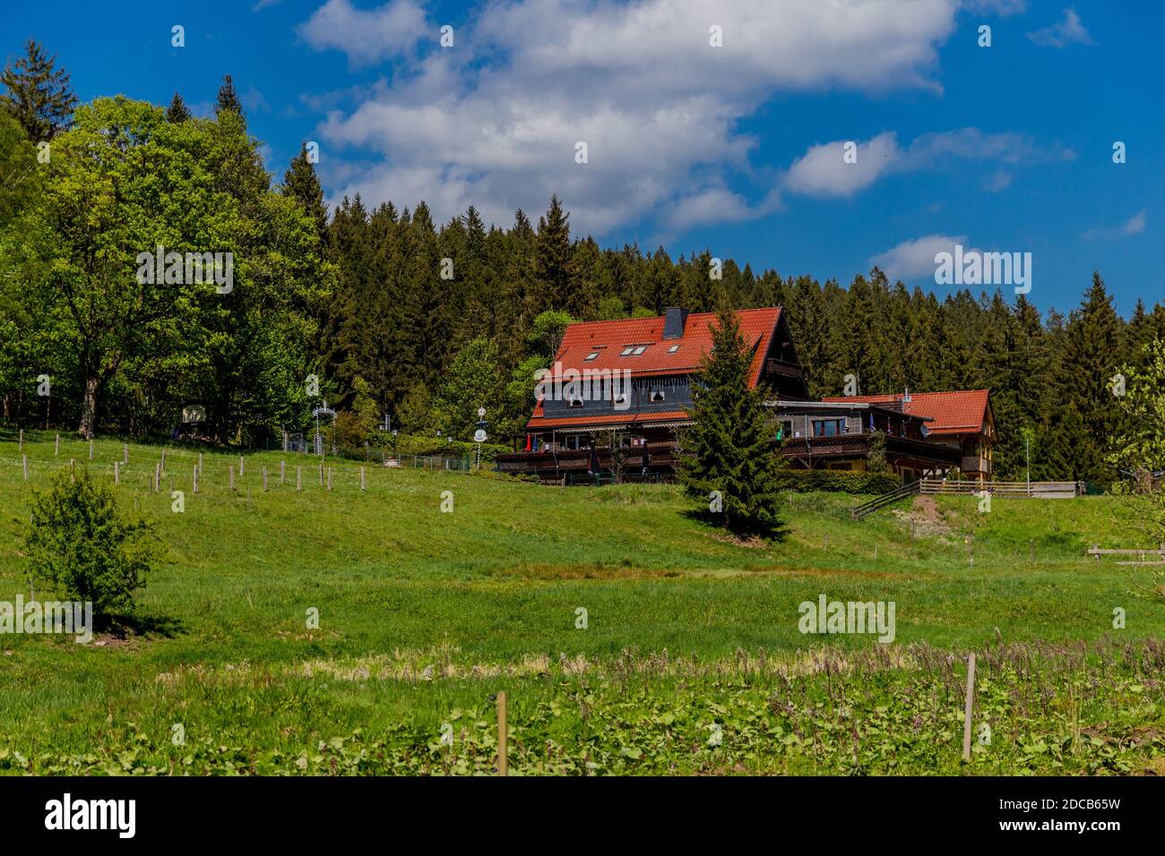 Hiking in different places through the Thuringian Forest - Thüringer ...