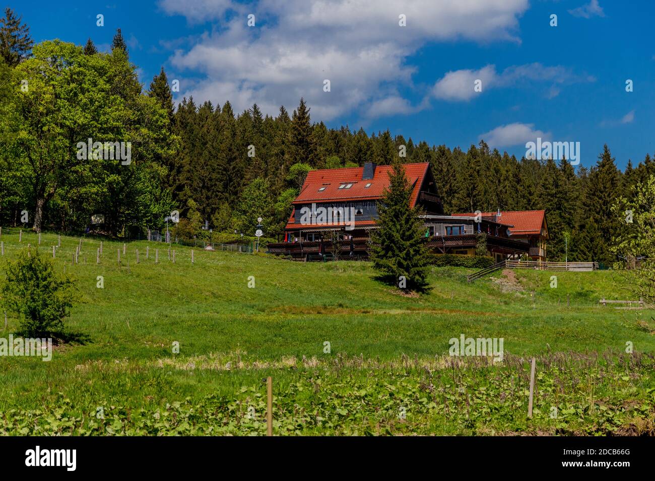 Hiking in different places through the Thuringian Forest - Thüringer ...